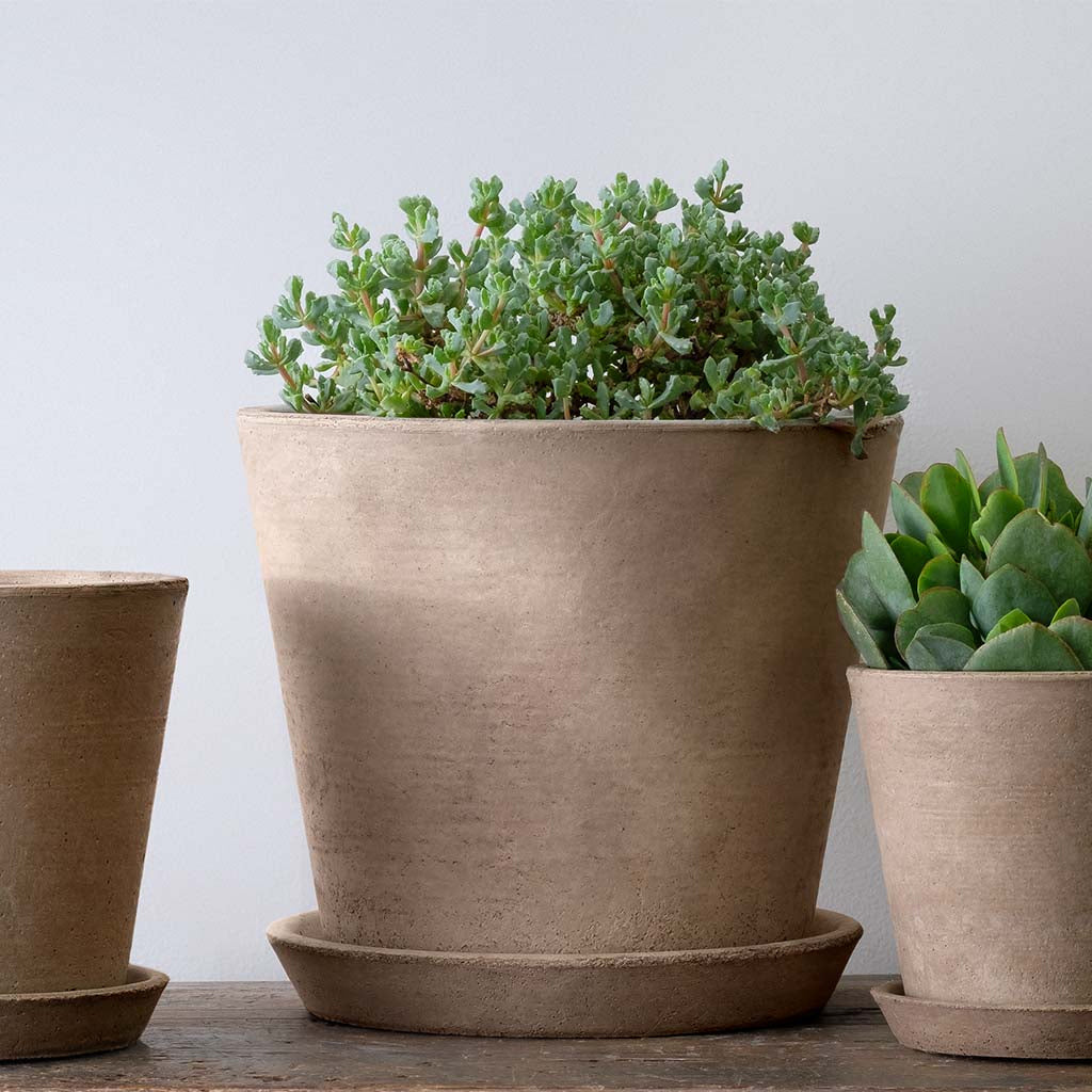 Essential Lightweight Cast Stone Concrete Planter - Large – Soothing ...