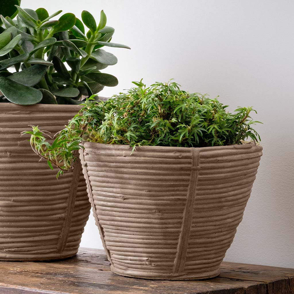 Reed Lightweight Cast Stone Concrete Planter – Soothing Company