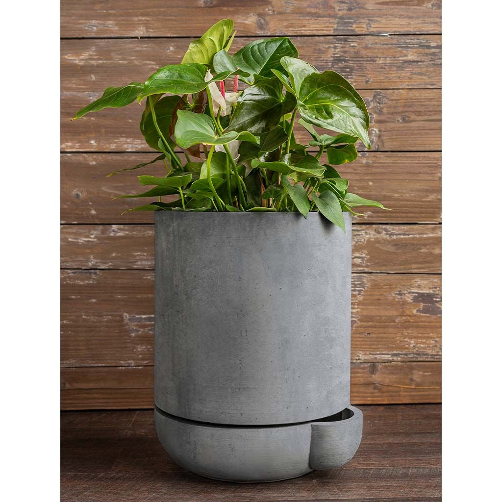 The Simple Pot | 5 Gallon Self Watering Lightweight Cast Stone Concret ...